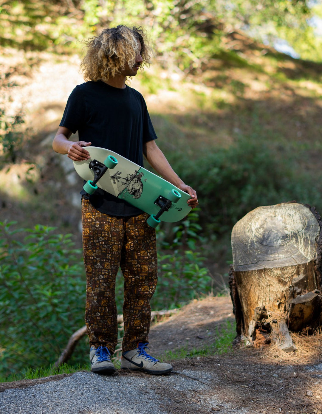 Rohrer Mini Cruiser Artist Series Skateboard – Fireball Supply